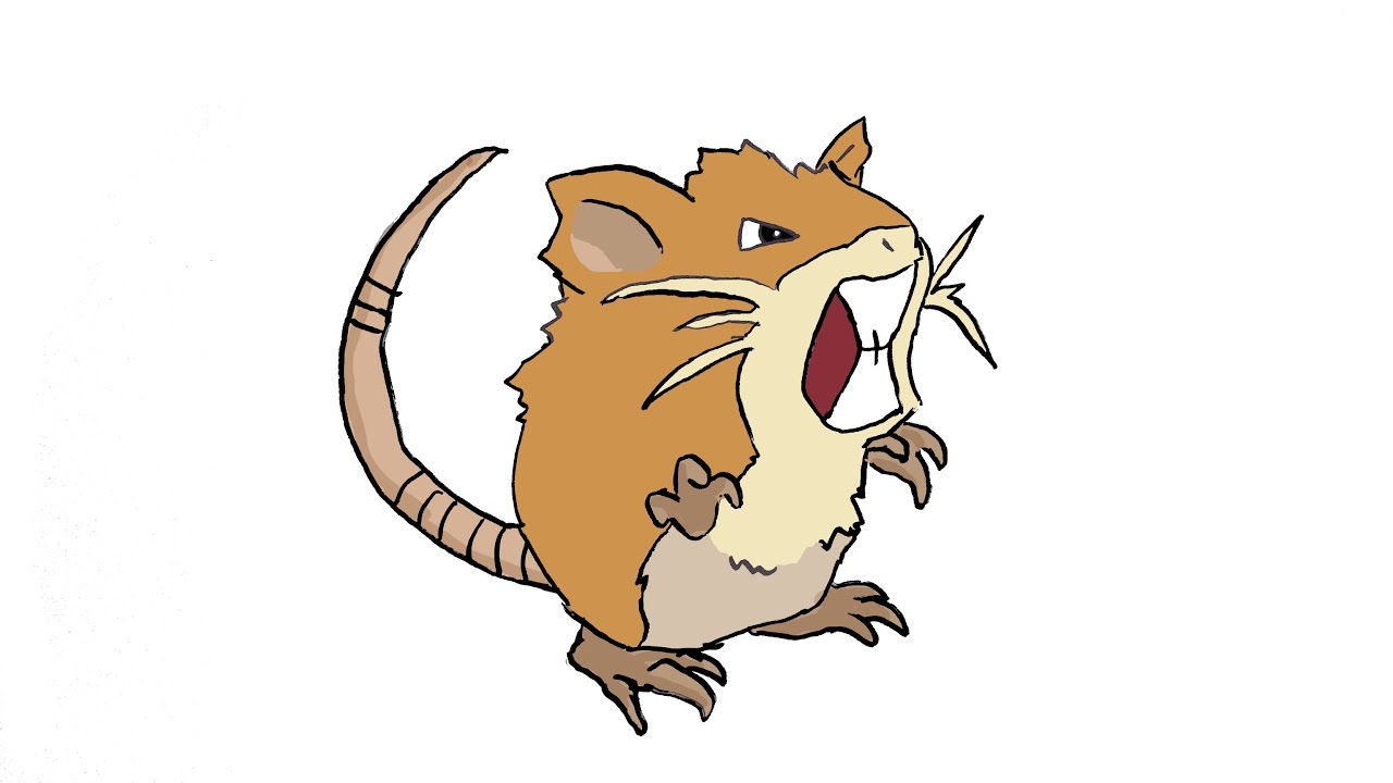 How To Draw Raticate (POKEMON) - YouTube