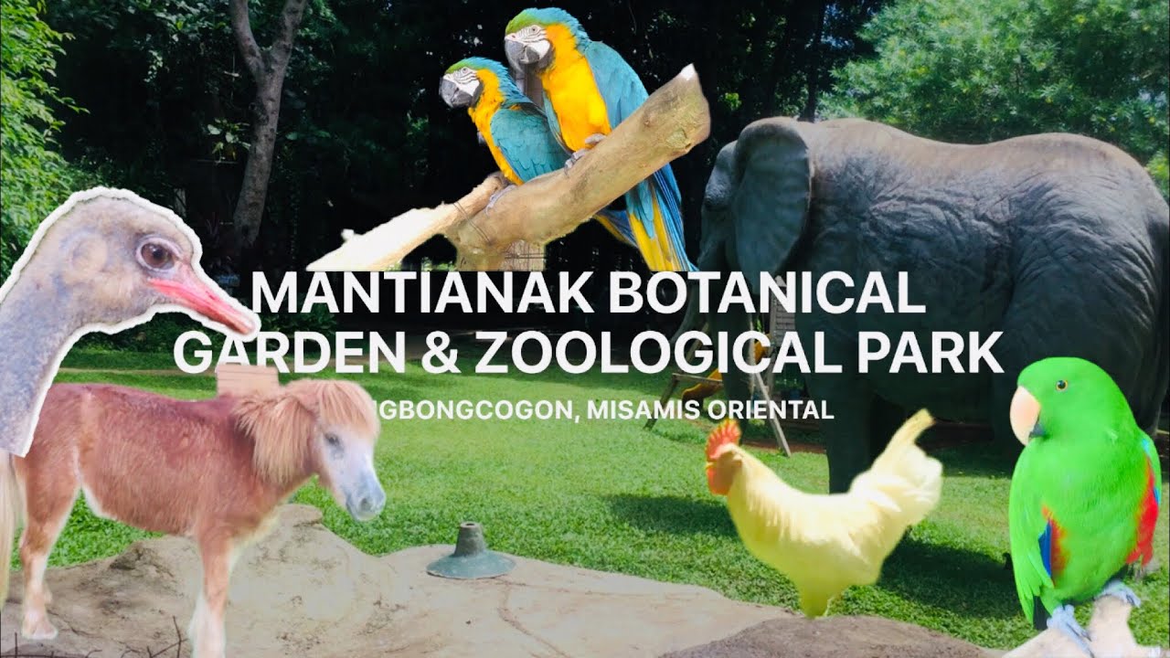 MANTIANAK BOTANICAL GARDEN & ZOOLOGICAL PARK | SUGBONGCOGON | EXPLORE ...