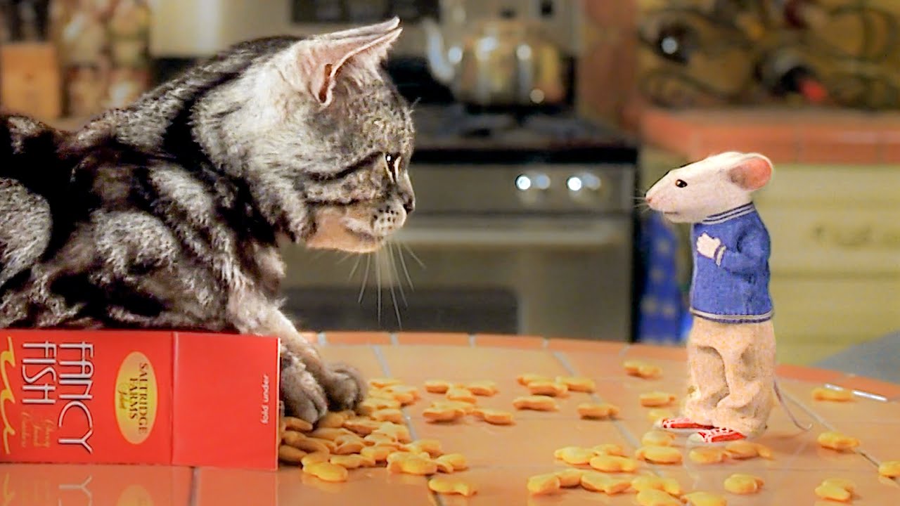 The Mouse With A Cat | Stuart Little (Michael J. Fox) - YouTube