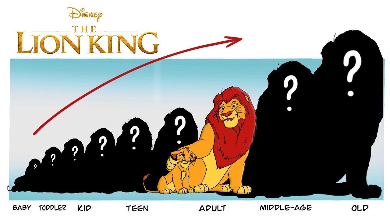 LION King Growing Up Compilation | Magic Cartoon - YouTube