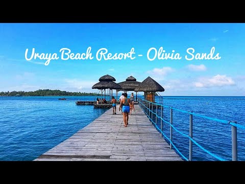 URAYA BEACH RESORT OLIVIA SANDS - SAMAL ISLAND | Vlog #1 - YouTube