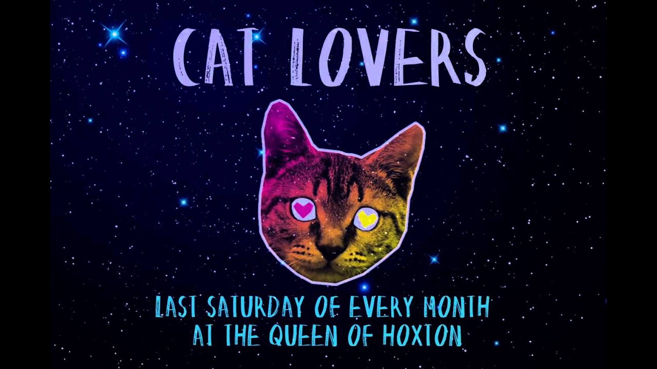 Cat Lovers Animation - YouTube