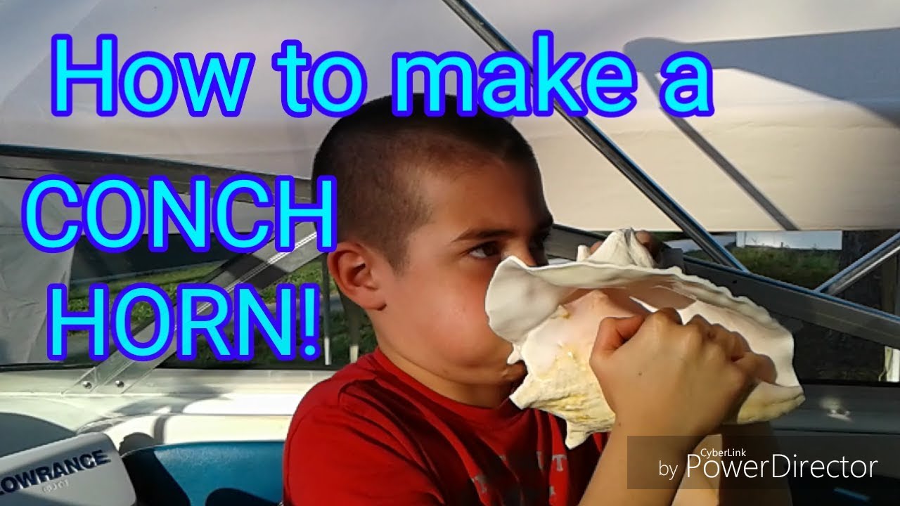 How to make a conch horn! - YouTube