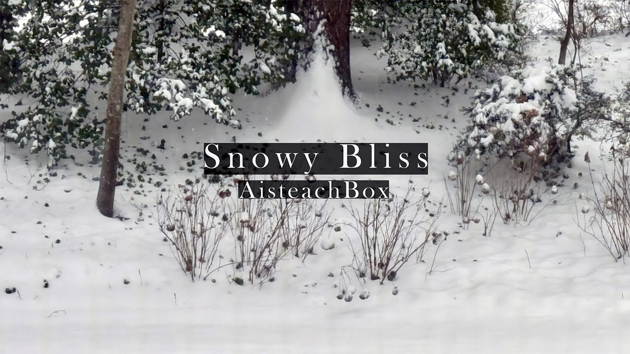 Snowy Bliss (Snow Ambience) (No Music) (3 Hours) - YouTube