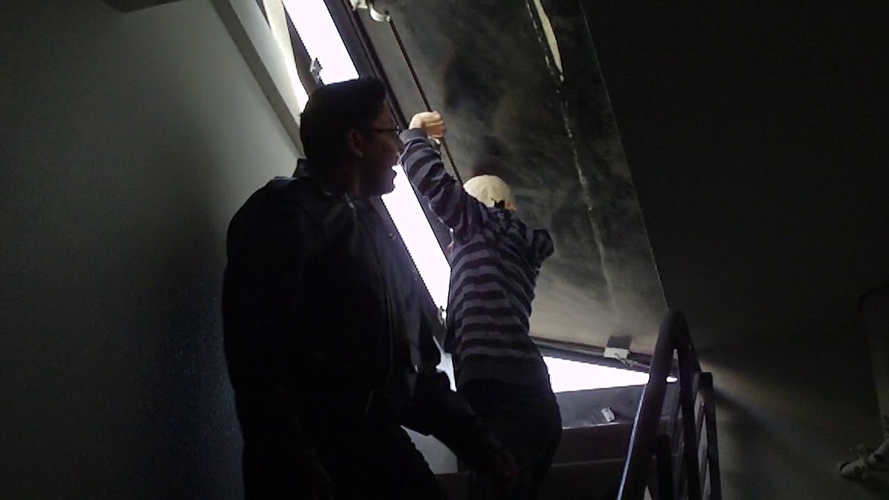 SCREAMING FROM ROOFTOPS - YouTube