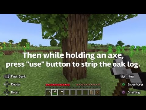 Minecraft Survival: How to Make Stripped Oak Log - YouTube