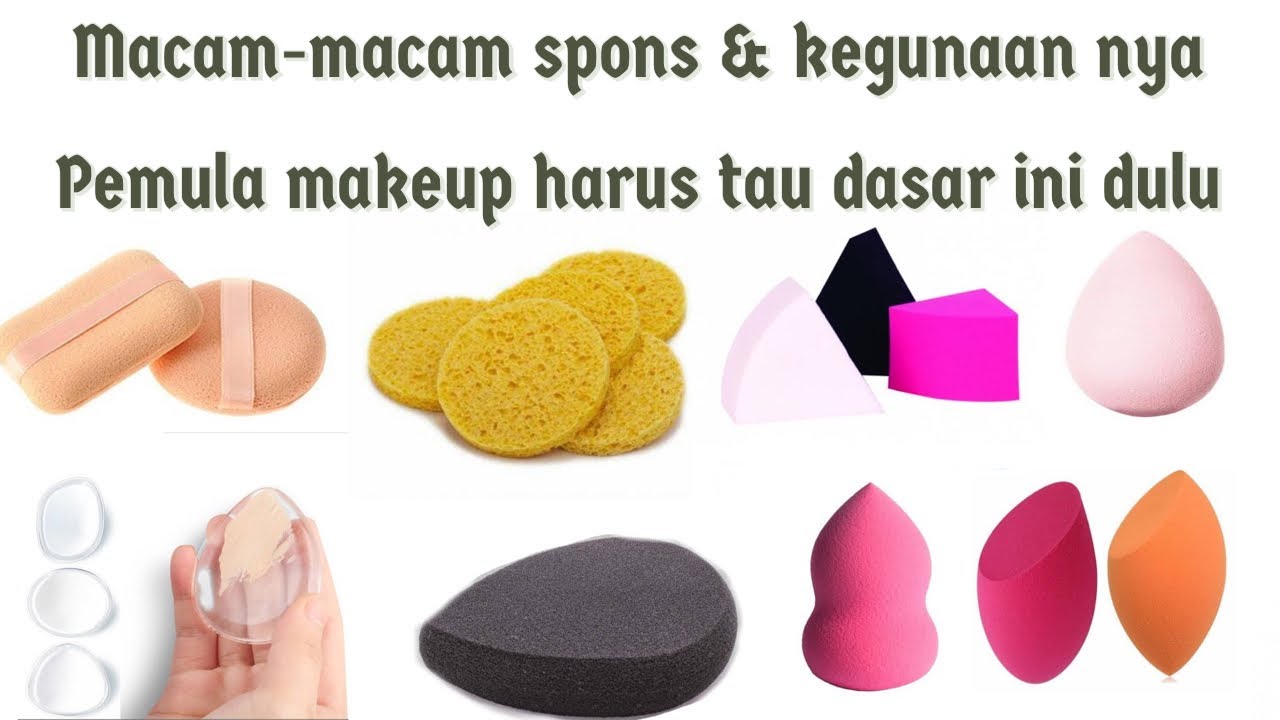 Macam-macam spons & kegunaan nya - YouTube