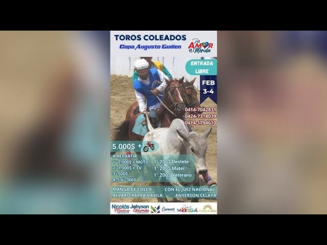 Toros Coleados Logo Toros Coleados En San Diego Copa Navidad Manga