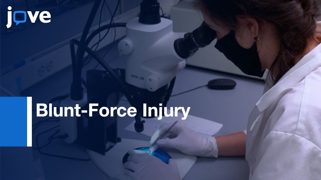 Blunt-Force Injury Effects Study | Protocol Preview - YouTube