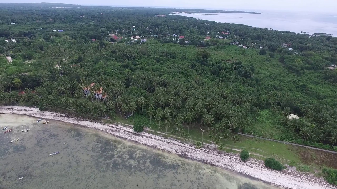 Doljo beach, Panglao, Bohol, Philippines - YouTube
