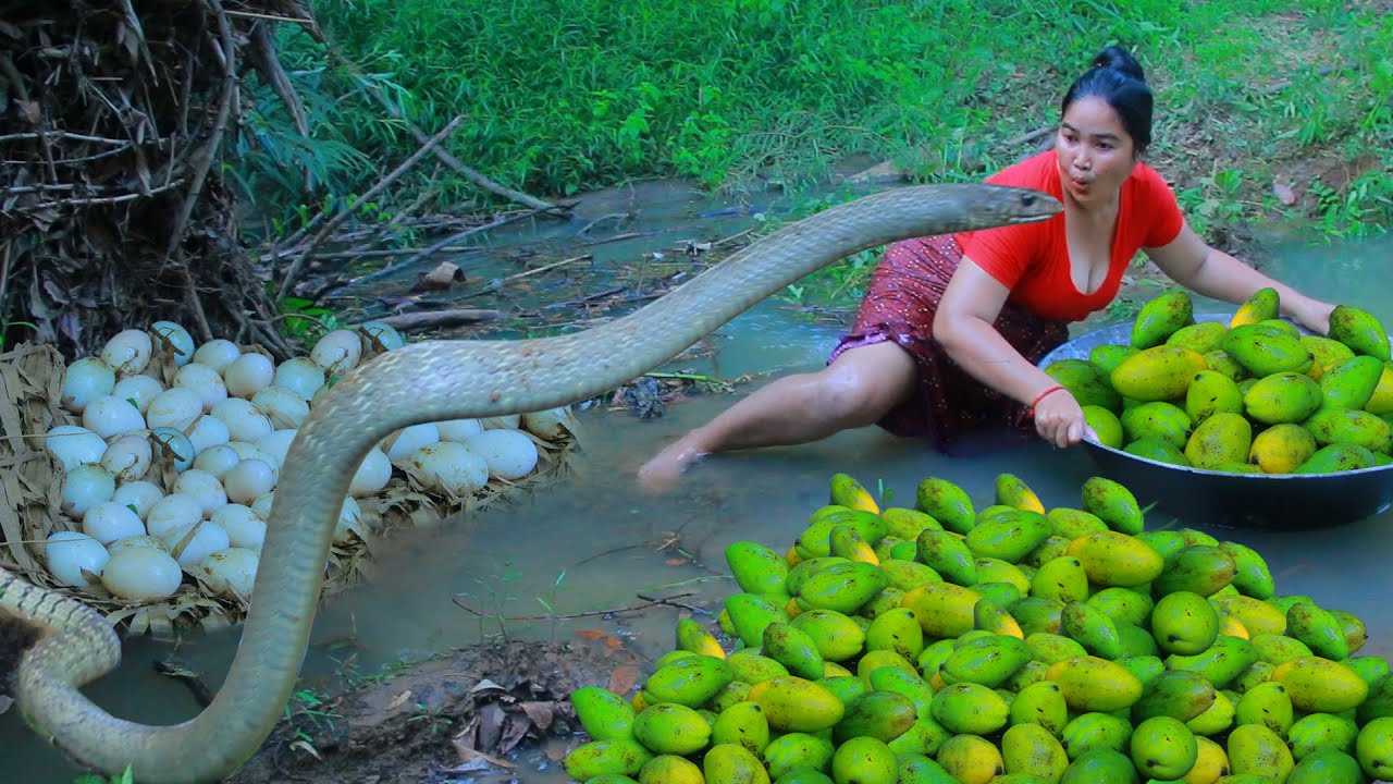 Women and Monkey Catch Snake egg and Mango at river - Catch Snake for ...
