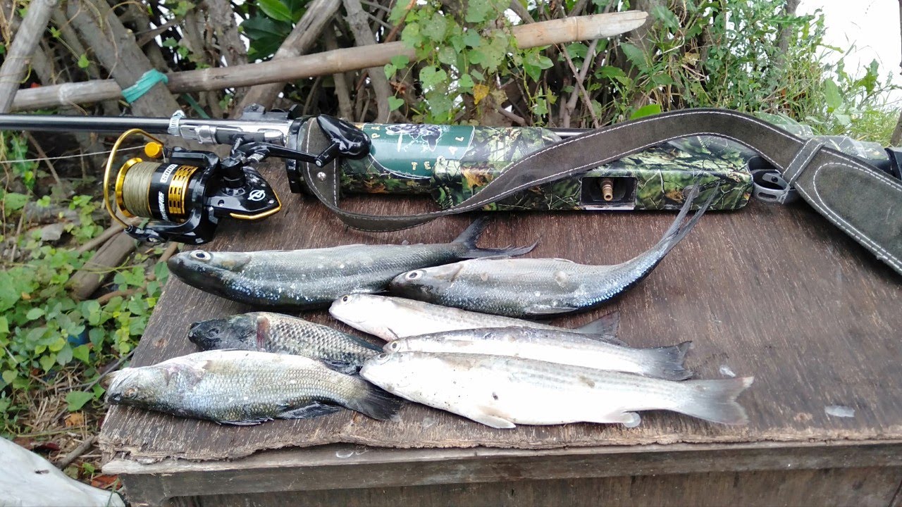 Paser Ikan Mania - Menemb4k Ikan Bandeng lanang - YouTube