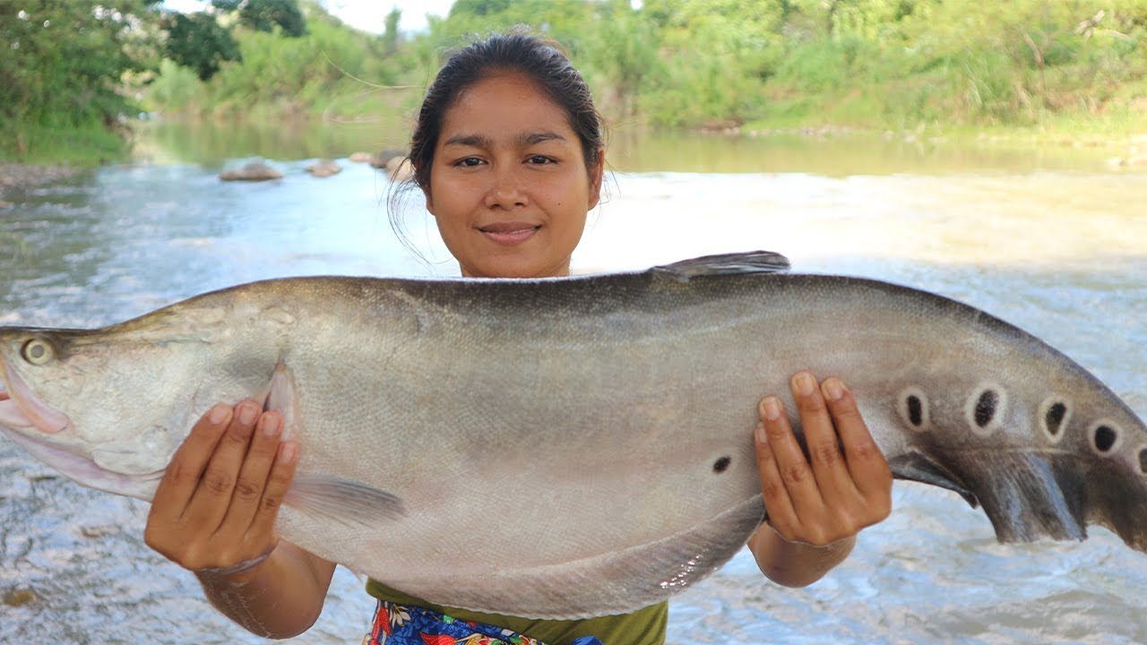 cooking and eating big Fish in forest so delicious - YouTube