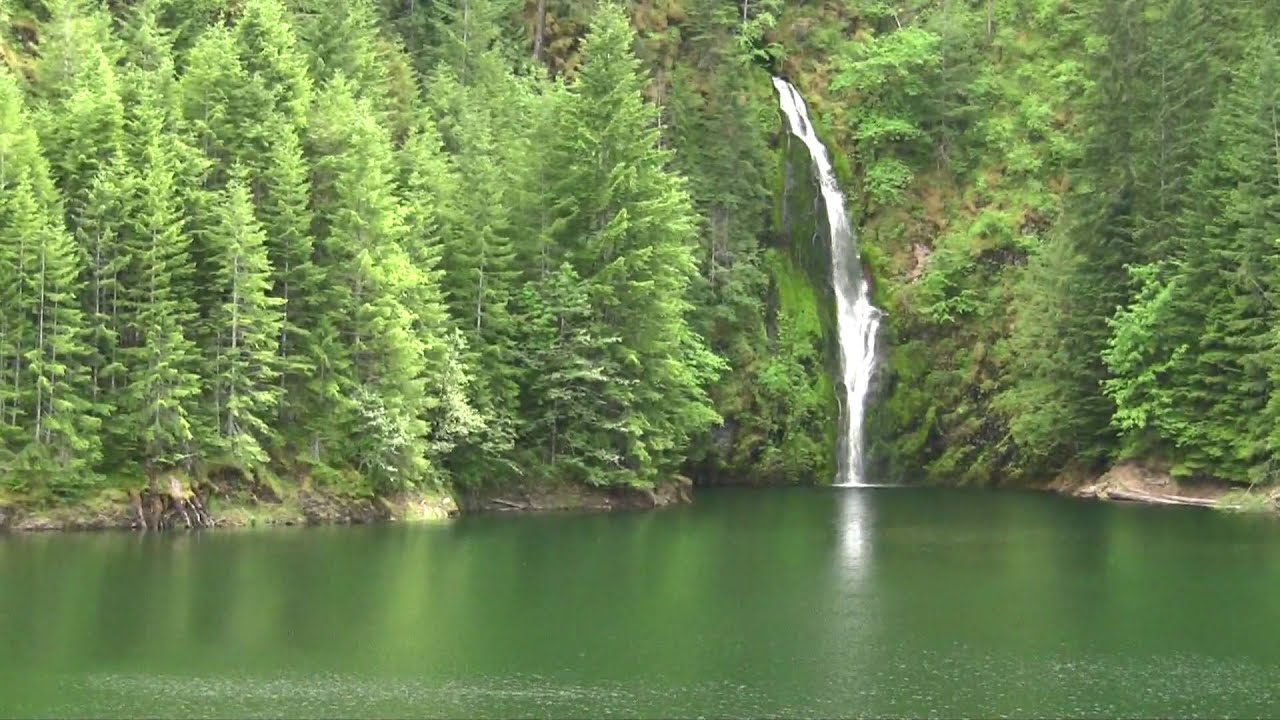 Cougar Reservoir - Alchetron, The Free Social Encyclopedia