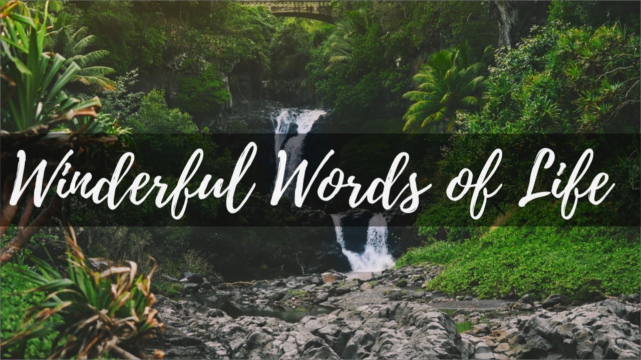 Wonderful Words of Life - Hymn Lyric Video (Flute Instrumental) - YouTube