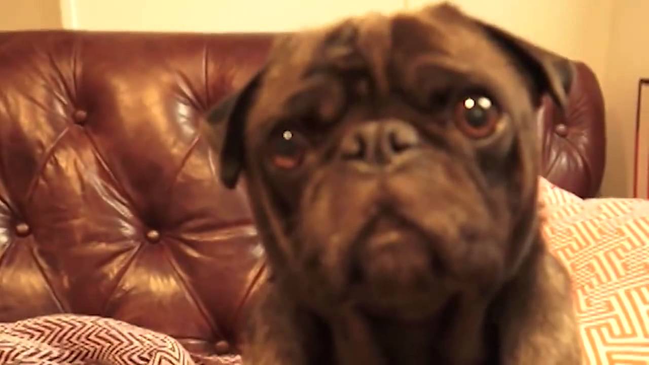 Edgar - PewDiePie - YouTube