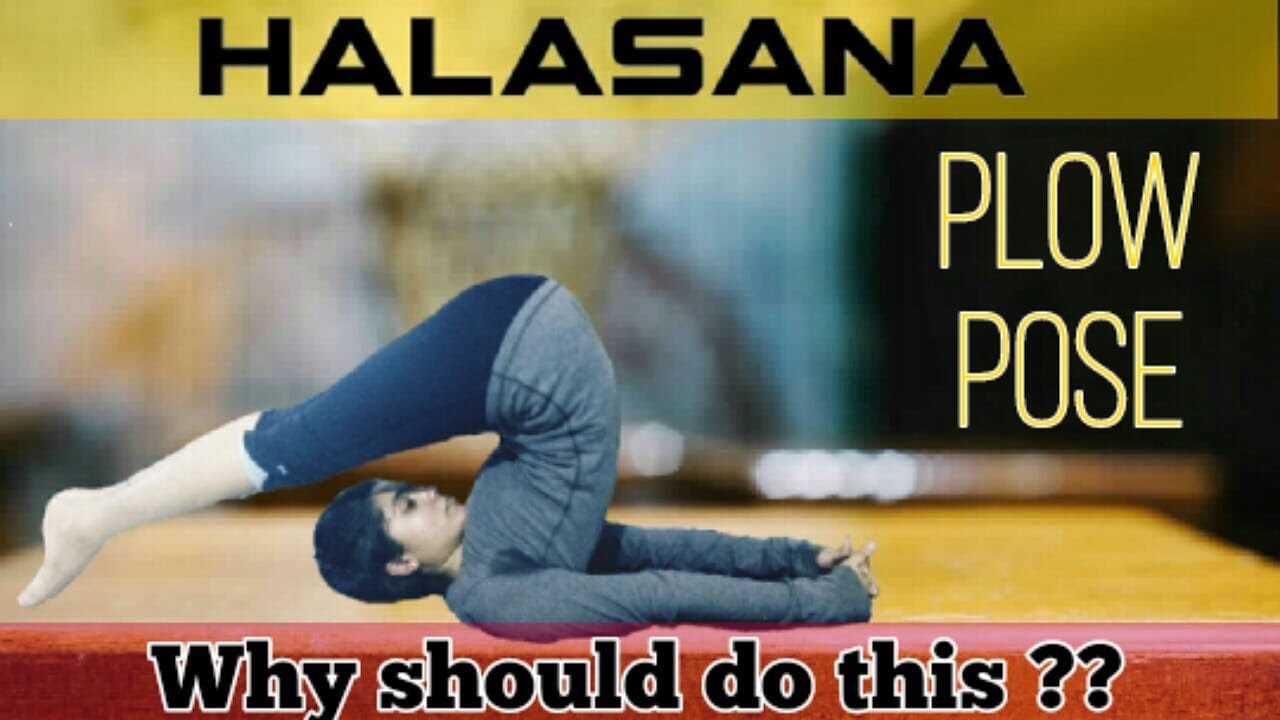 How to do halasana step by step- Benifits and precautions. - YouTube