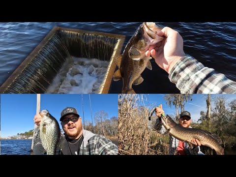 Just a fun few days of fishing! 💥💥DOUBLE DIGIT CAUGHT 💥💥 - YouTube
