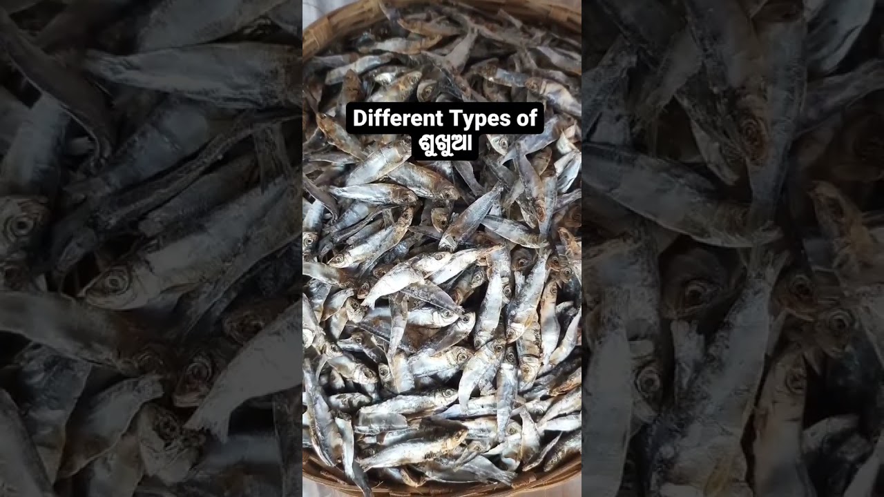 Defferent Types of ଶୁଖୁଆ // Odisha Famous Sukhuaa। । - YouTube