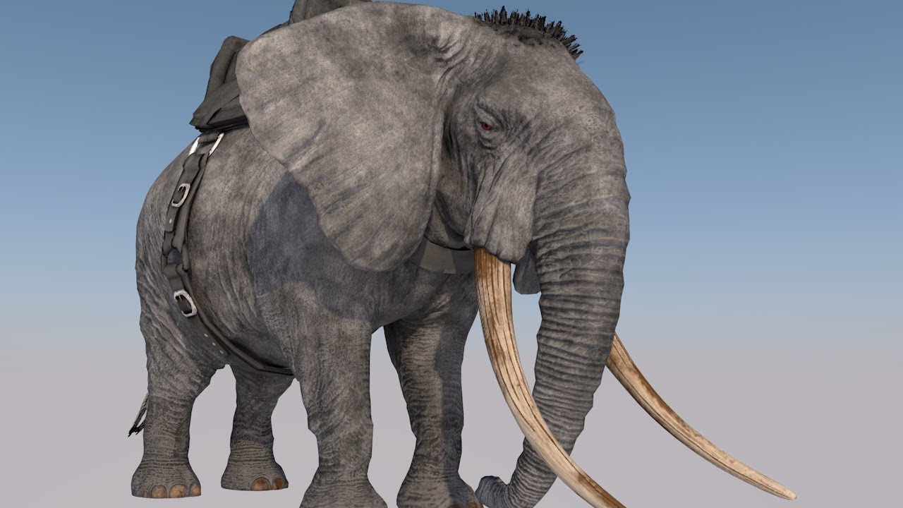 Elephant cinema 4d model free download - YouTube