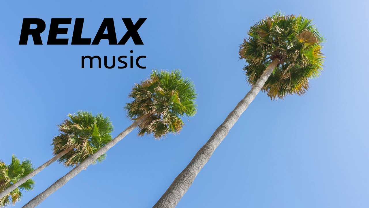 Bossa Nova Seaside - Soft Beautiful Guitar Bossa Nova Music to Brighten ...