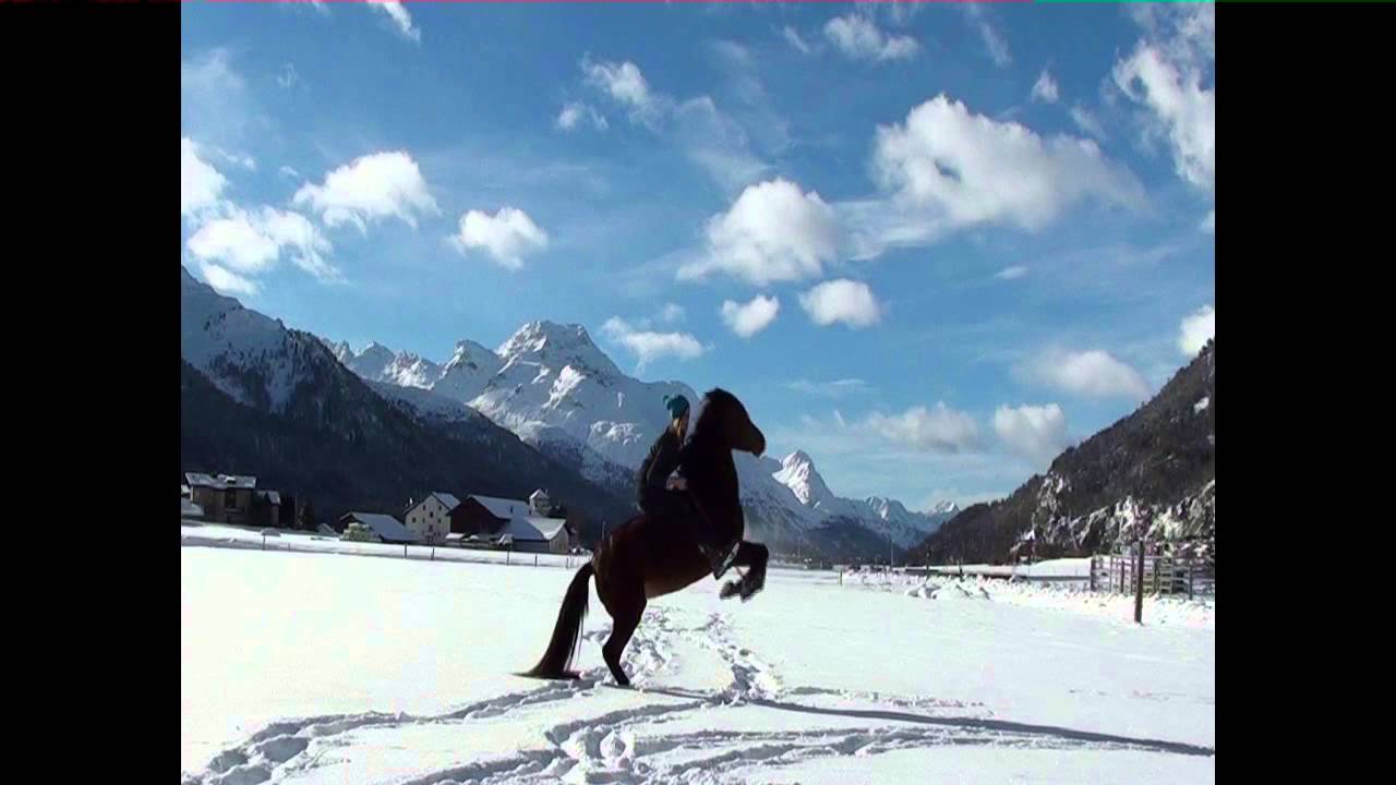 Sarah Brummer Parelli Professional Engadin Winter - YouTube