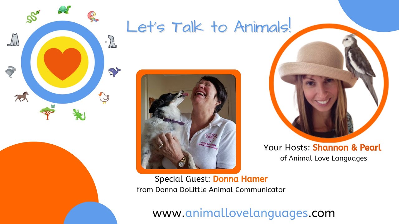 Let's Talk to Animals with animal communicator Shannon Cutts and Donna ...