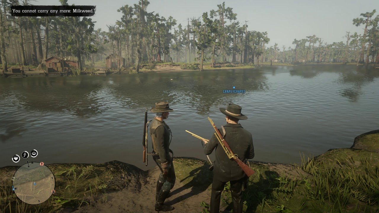 Underwater crows RDR2 - YouTube