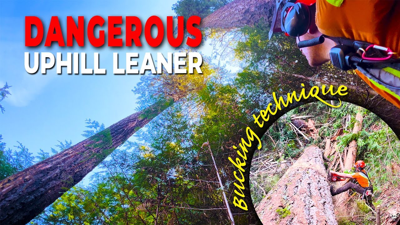 104. Heavy Uphill Leaner | Special Bucking Technique - YouTube