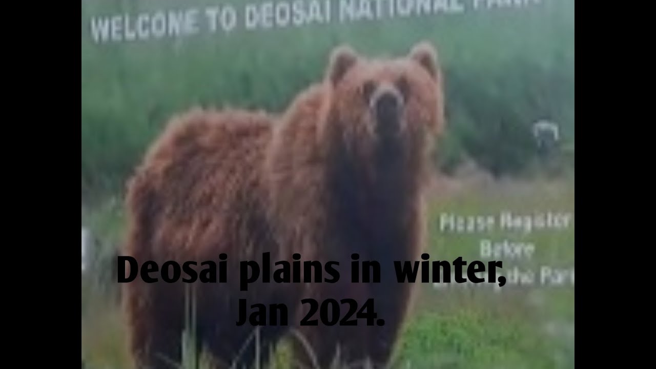 deosai national park in winter|deosai national park brown bear| - YouTube