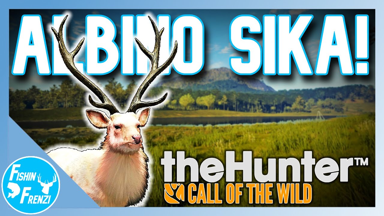 HUGE Albino Sika Deer Ends The Grind!! | theHunter - Call of the Wild ...