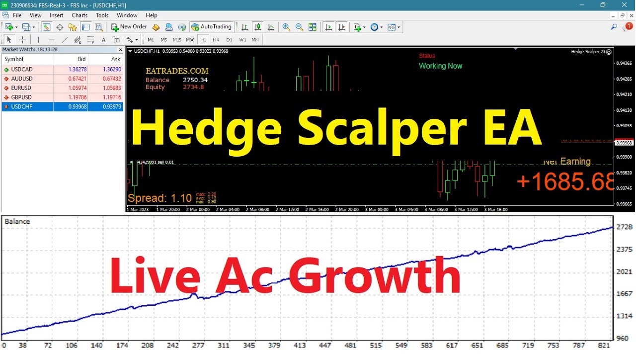 Hedge Scalper EA with Consistent growth | Live AC with Hedge Scalper EA ...
