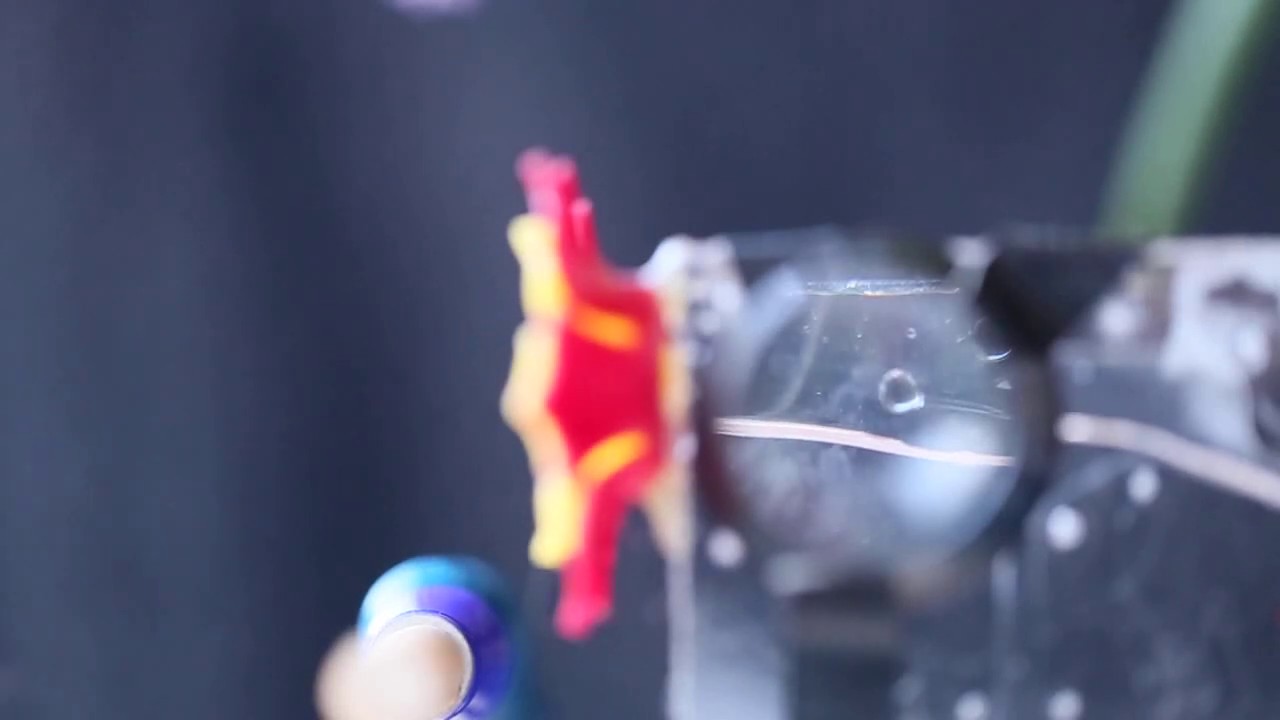 Hummingbird tongue microscope test 1 - YouTube
