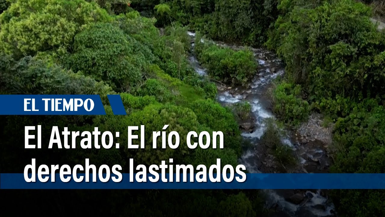 El Atrato, un río con derechos lastimados pese a histórico fallo | El ...