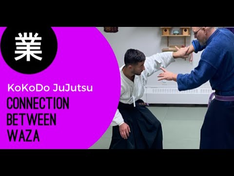 Connecting your KoKoDo JuJutsu Techniques - YouTube