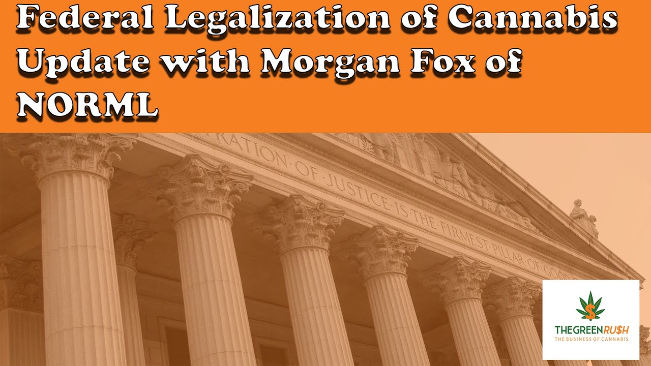 Federal Legalization of Cannabis Update with Morgan Fox of NORML - YouTube