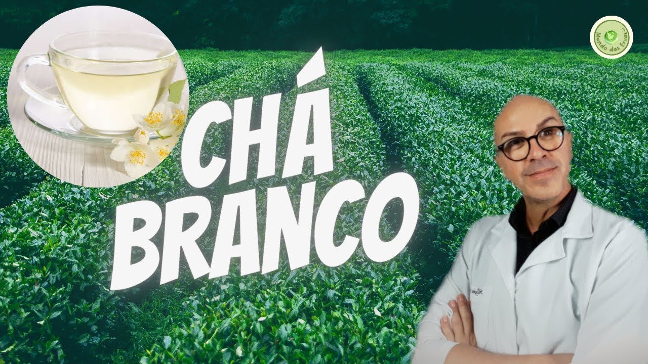 CHÁ BRANCO - CAMÉLLIA SINENSIS - #1 - YouTube