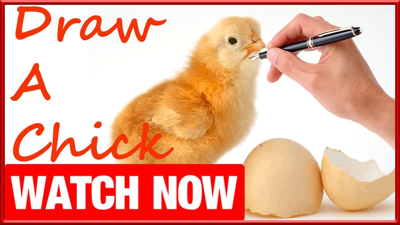 How To Draw A Chick - Learn To Draw - Art Space - YouTube