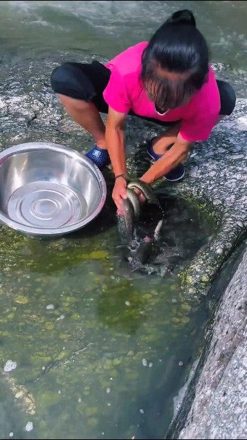 I found many fish inside the big rock hole, those great fish#shortvideo ...