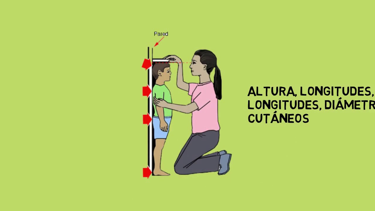 MEDIDAS ANTROPOMÉTRICAS - YouTube