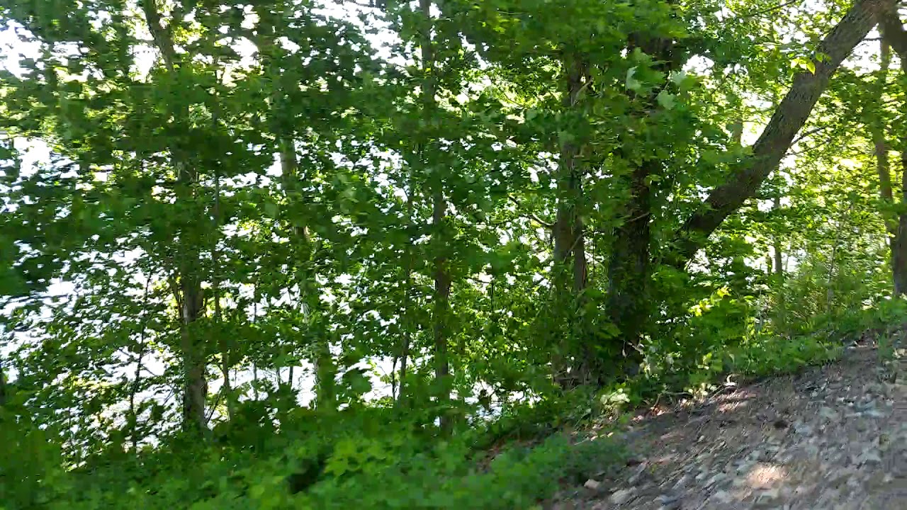 Rail biking on the Connecticut Valley Railroad between Chester and ...