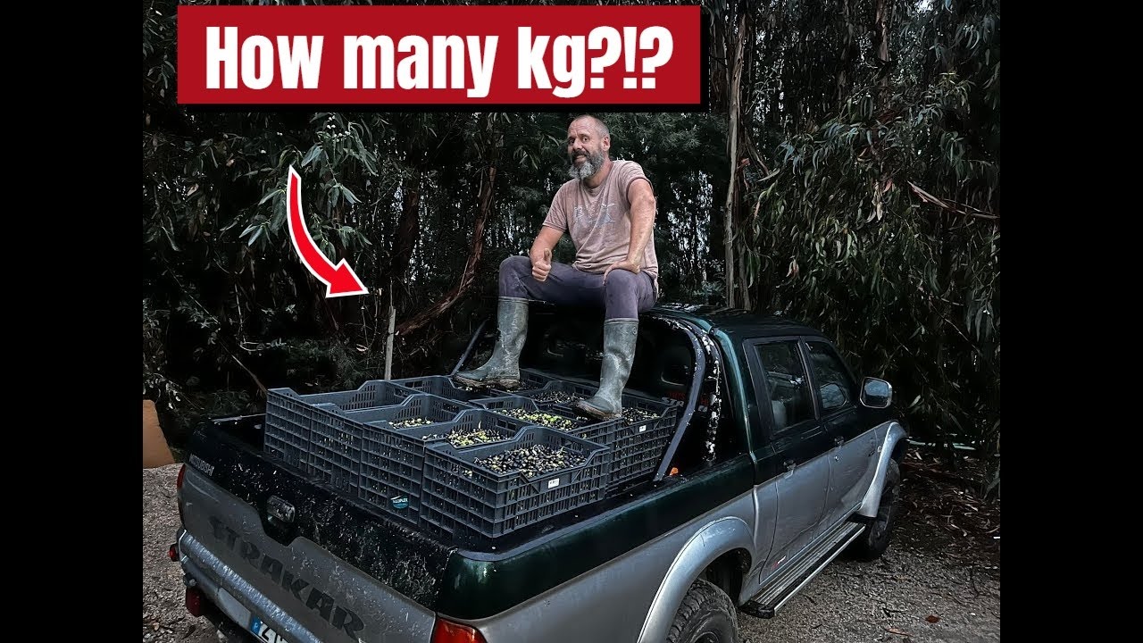 The Magic of Off-Grid Living in Portugal - YouTube