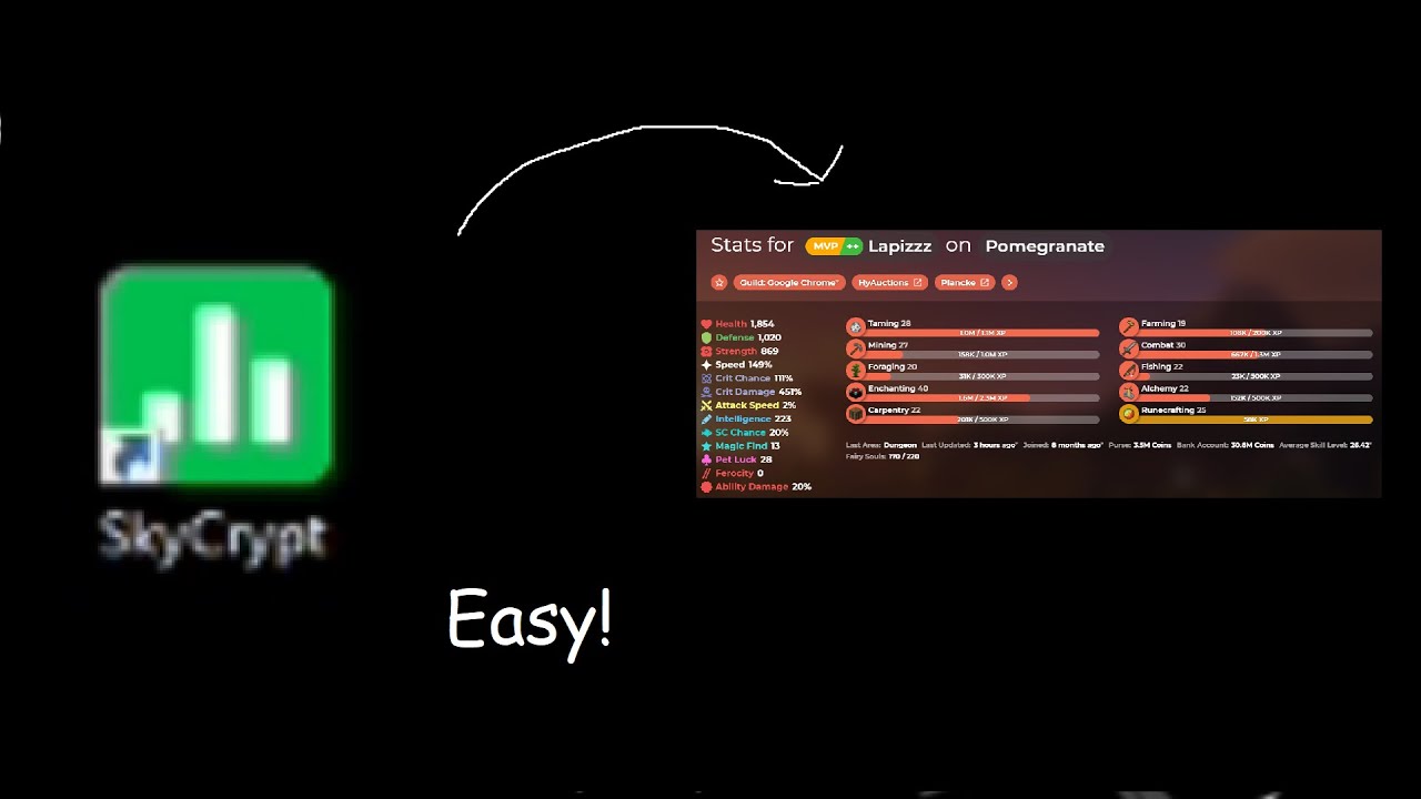 How to get Skycrypt as an app! (sky.shiiyu.moe) | Tutorial | Lapizzz ...