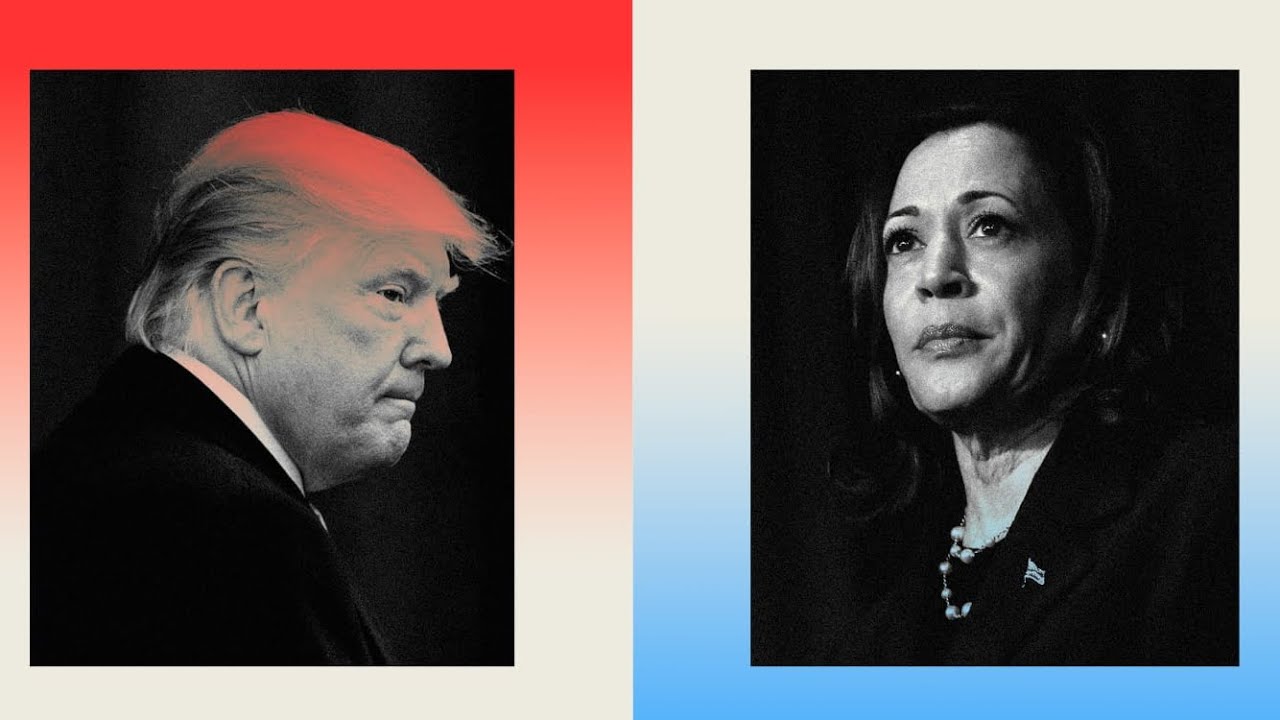 Kamala Harris refuses to debate Donald Trump on Fox News! Chicken-Mala ...