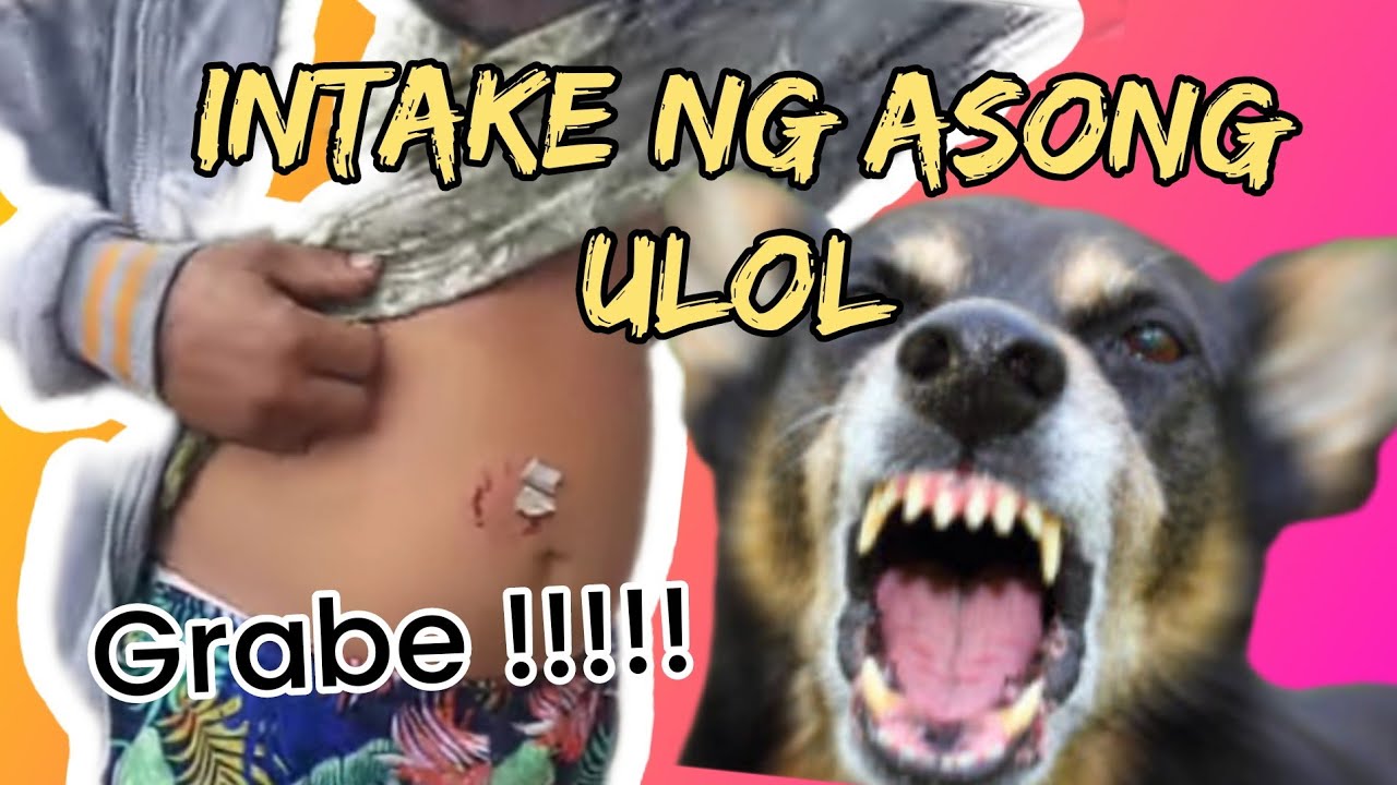 INATAKE NG ASONG ULOL JUNJUN MUNTIK NA MAKAGAT - YouTube