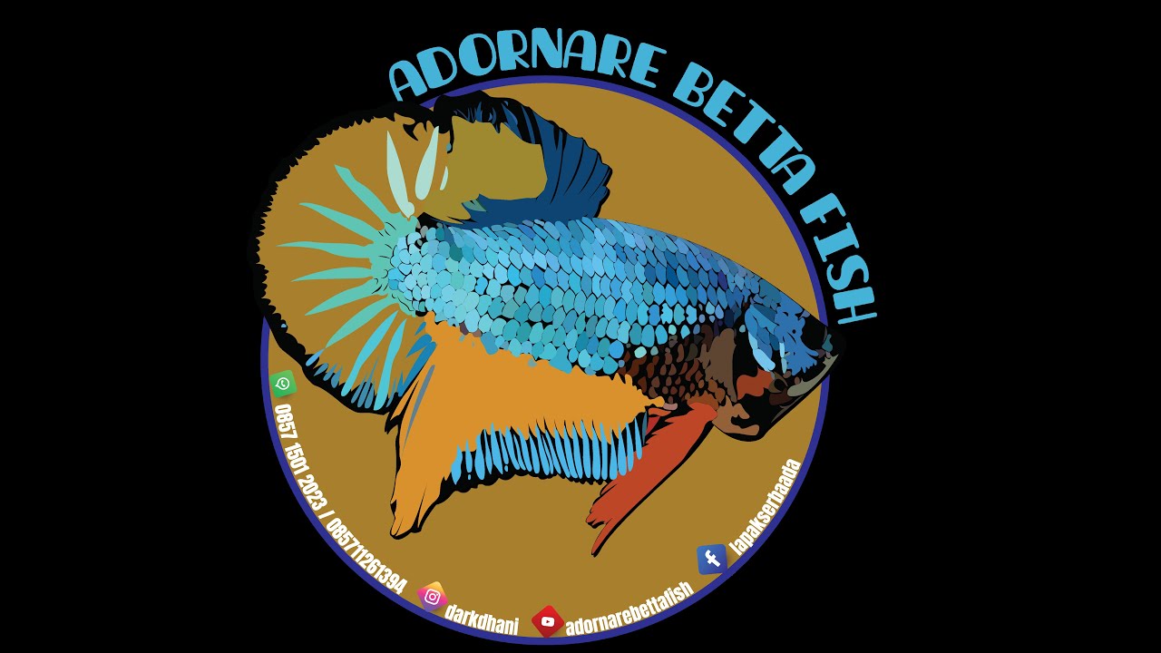 FCCP, HM Super Red, CT Black Orchid, Flamengo - YouTube