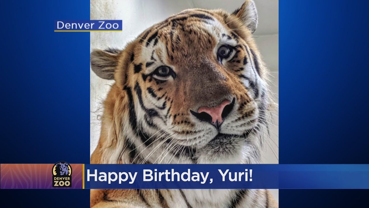 Happy Birthday, Yuri! - YouTube