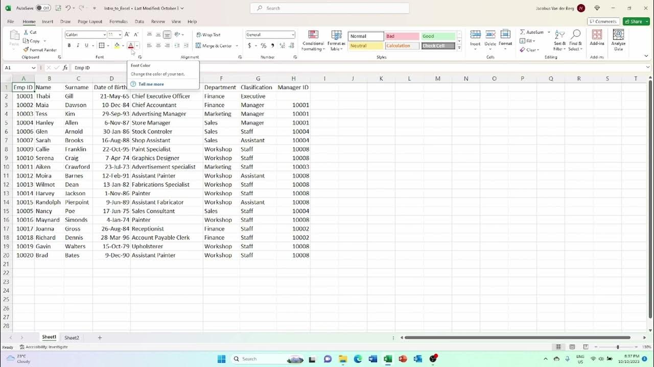 Excel Font Group Overview - YouTube