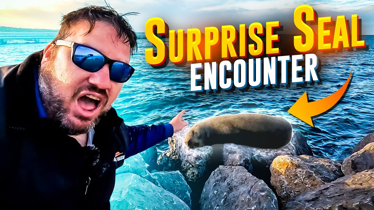 SQUID FISHING Difficult Conditions on STANSBURY JETTY - YouTube