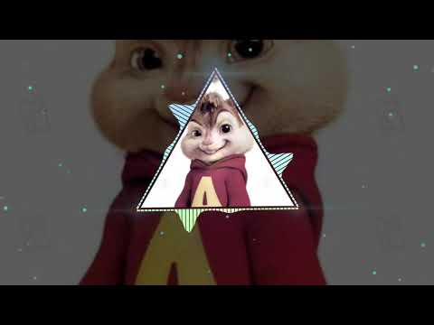 ALVİN SİNCAPLAR MERE 2020 (DİYAR)